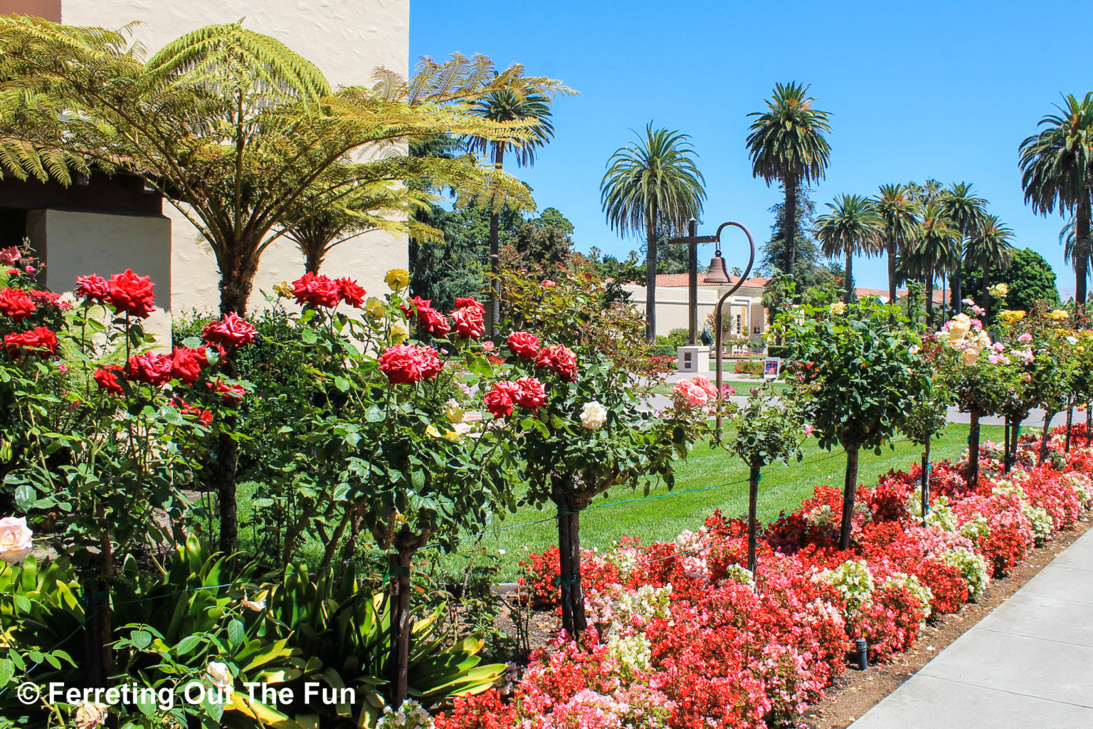 How to Spend Two Days in San Jose California - Ferreting Out the Fun